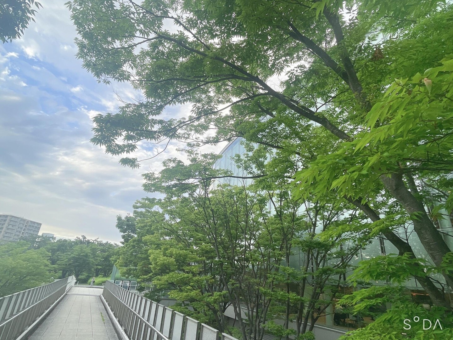 大人デートしてきましたww なんつてー ... / さこ🔰さんのモーメント | YAMAP / ヤマップ