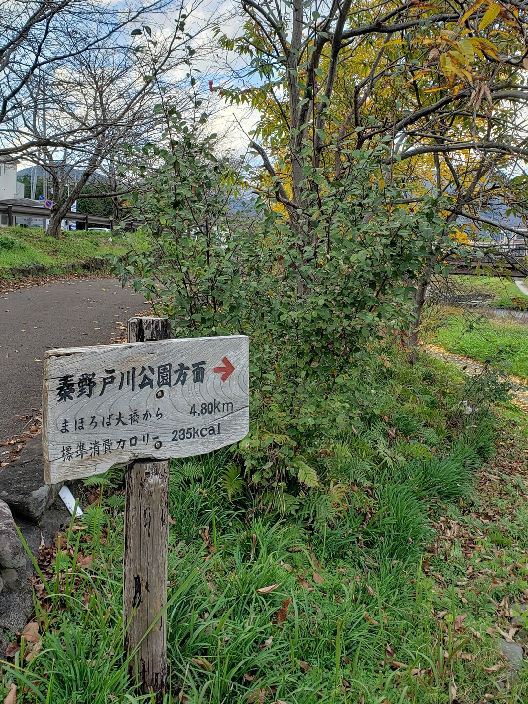 2020.11.28(土) 06:52 / 北京げんじんさんのモーメント | YAMAP / ヤマップ