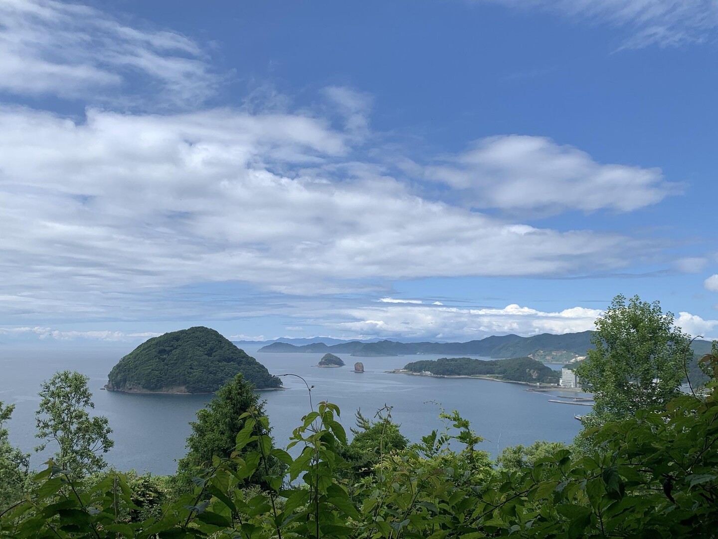 R5.6.25 谷地山 / あおかつさんの高森山・屋敷山の活動データ | YAMAP / ヤマップ