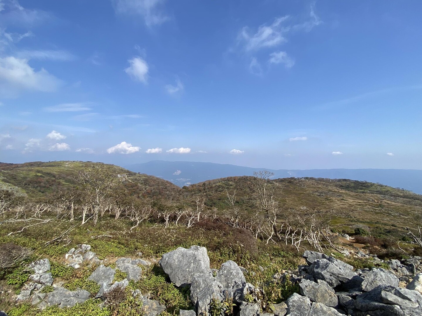 はじめての藤原岳 / kikiさんの竜ヶ岳の活動データ | YAMAP / ヤマップ