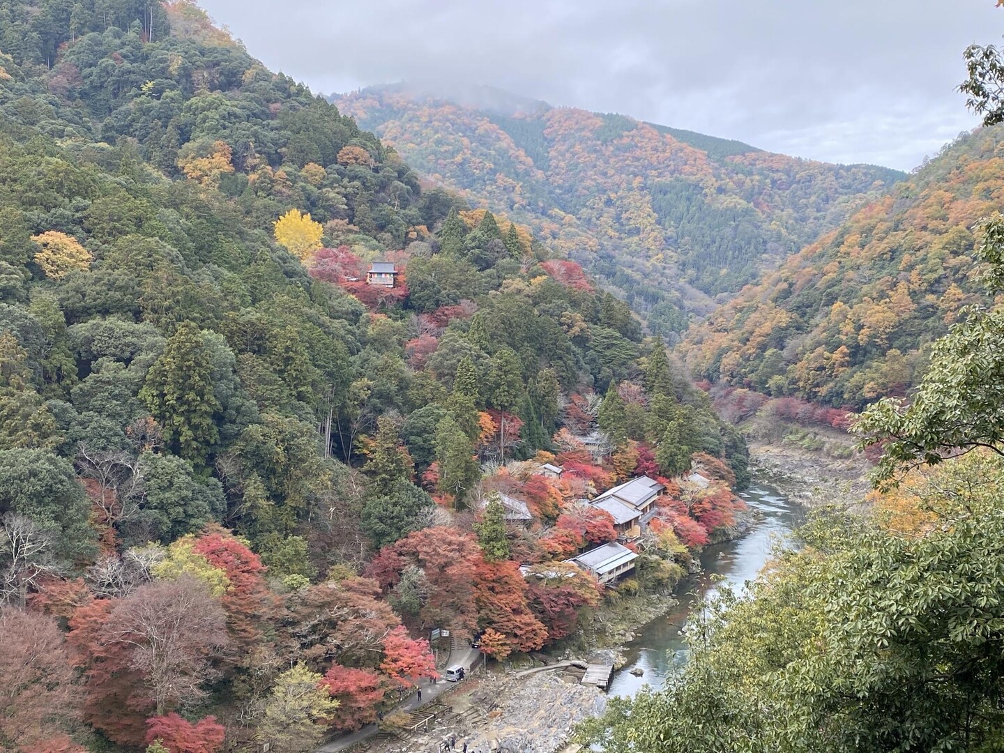 京都「小倉山〜明智越え」 / Mikity さんの京都一周トレイルの活動データ | YAMAP / ヤマップ