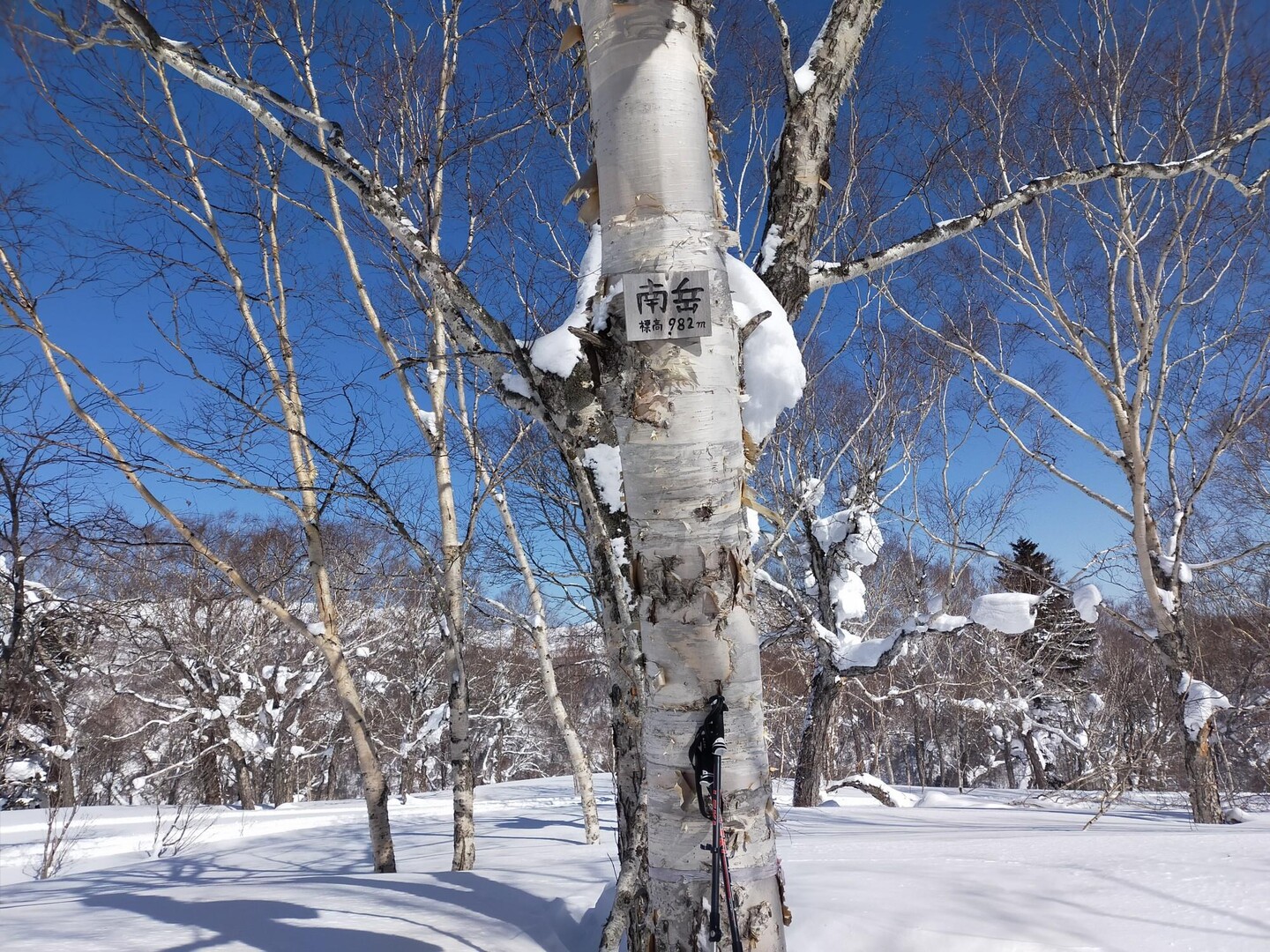 山鳥峰・南岳 / kami415さんの余市岳・定山渓天狗岳の活動データ | YAMAP / ヤマップ