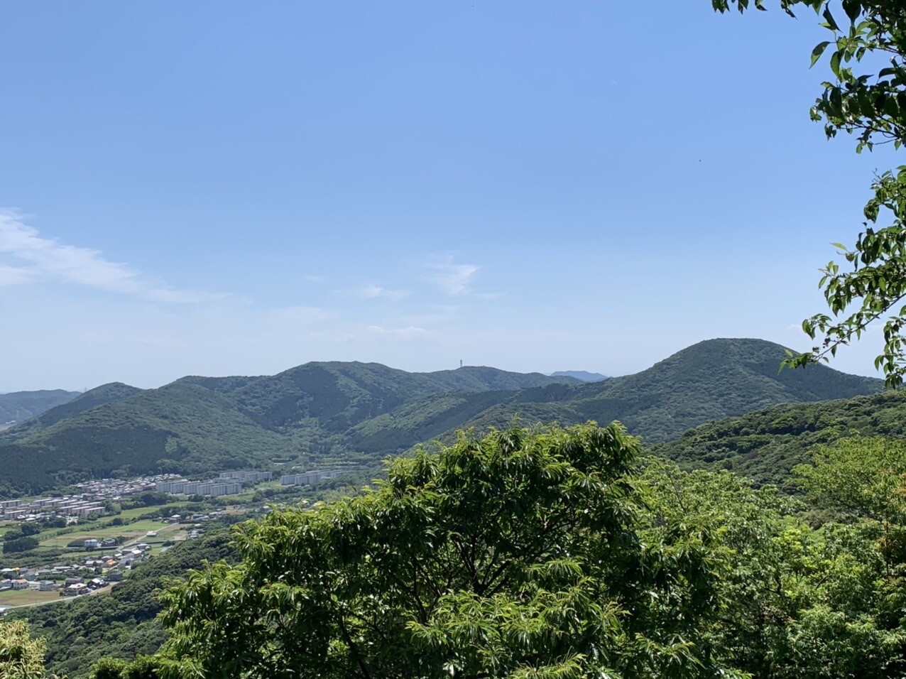 森林浴を満喫‼️田原アルプスを往く🚶‍♂️…蔵王山・衣笠山・滝頭山ほか / M_Akkyさんの蔵王山・衣笠山・滝頭山の活動データ | YAMAP / ヤマップ