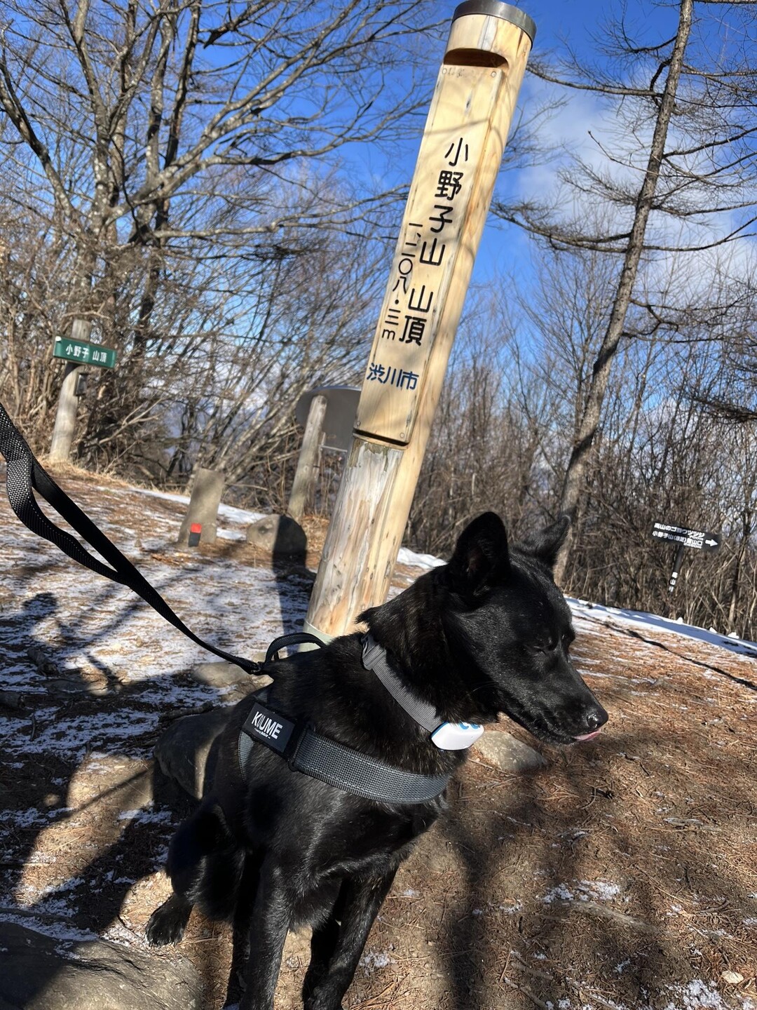 雨乞山・小野子山・中ノ岳・十二ヶ岳 / kazuponさんの小野子山・十二ヶ岳・雨乞山の活動データ | YAMAP / ヤマップ
