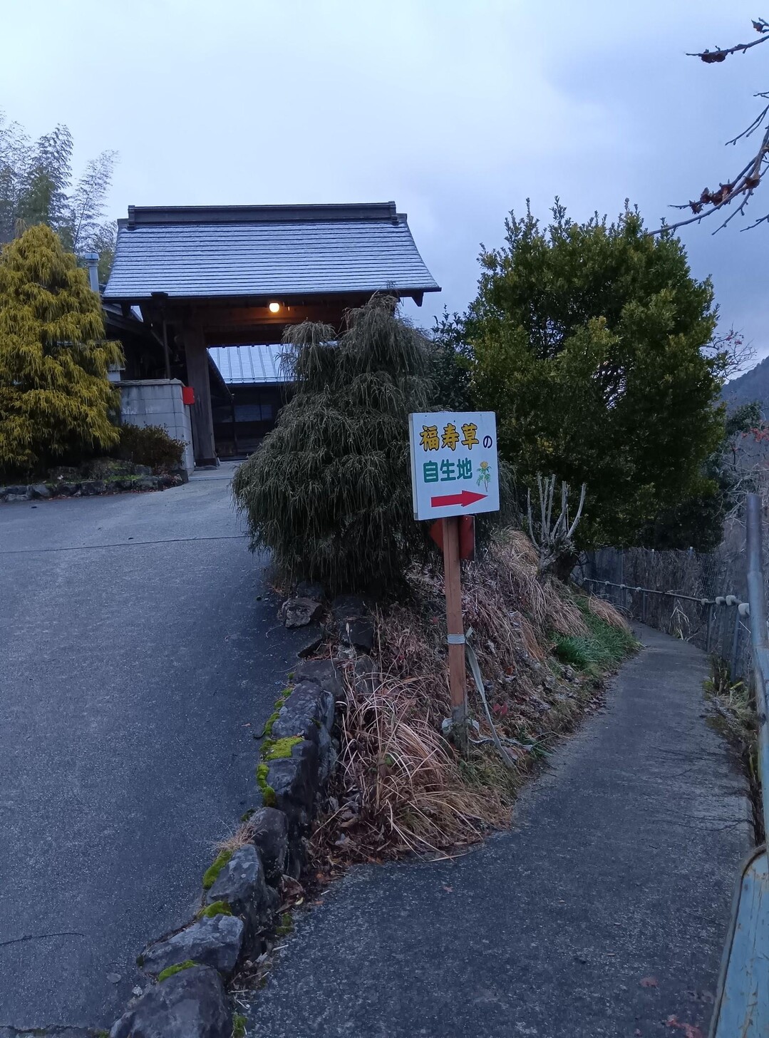 柚野山 / OKさんの栃ヶ山・櫃ヶ岳・柚野山の活動データ | YAMAP / ヤマップ