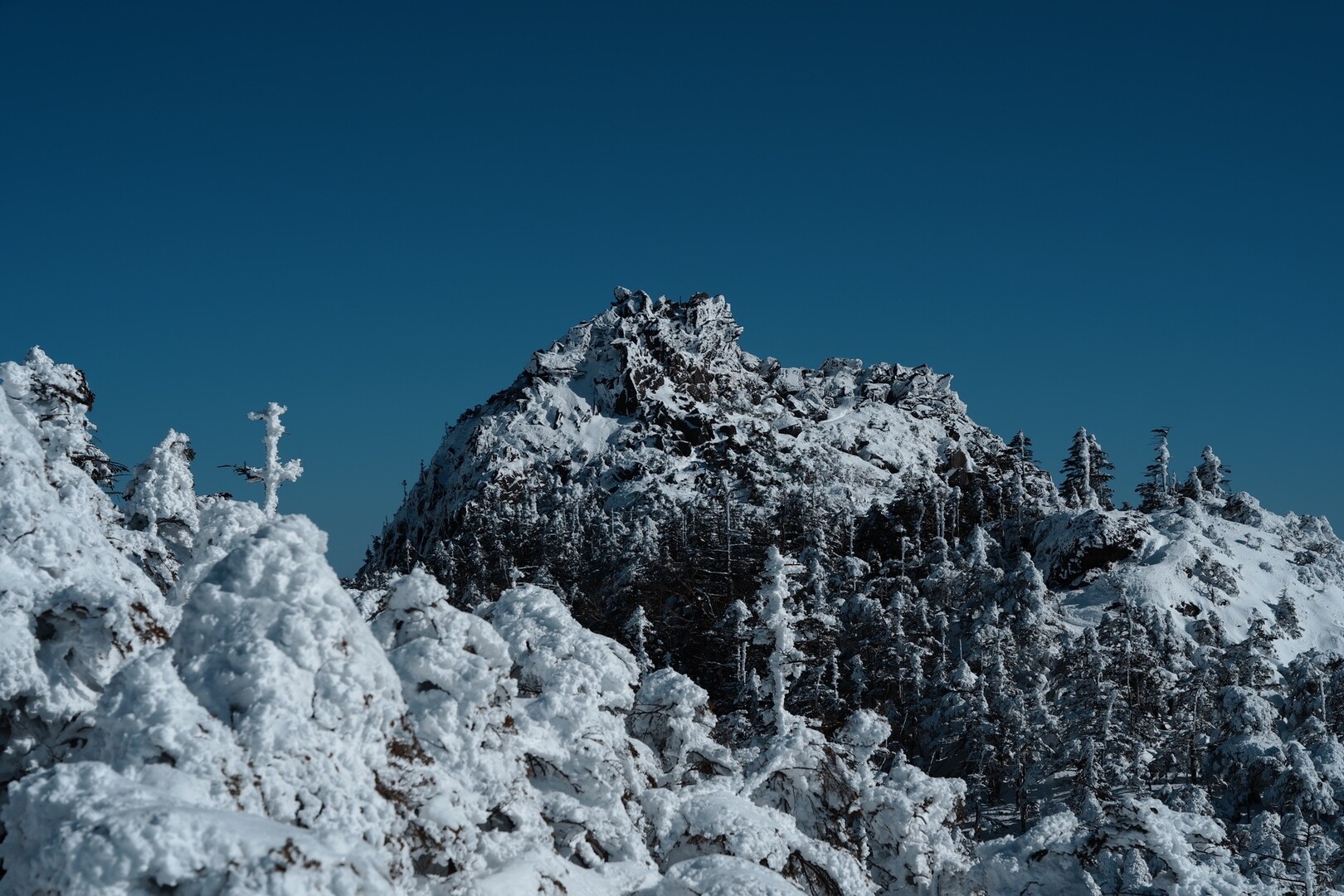北横岳・三ッ岳Ⅲ峰ピストン / AYA_hmskさんの蓼科山・横岳・縞枯山の活動データ | YAMAP / ヤマップ