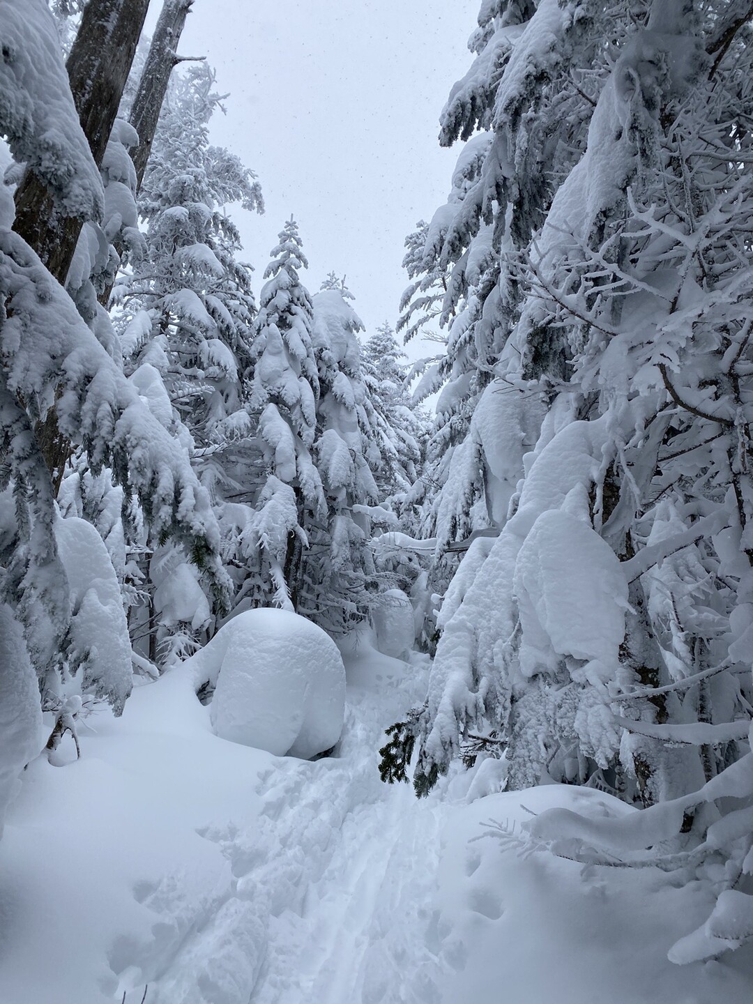 奥蓼科厳冬期雪山の洗礼を受けてR4-02-20,21 / ちょこいちさんの蓼科山・横岳・縞枯山の活動データ | YAMAP / ヤマップ