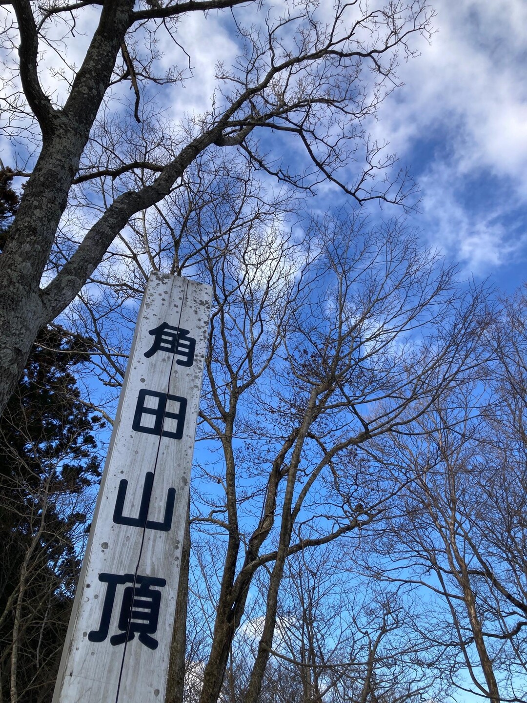 またほたる角田山🏔3 / katsu.fdさんの角田山の活動データ | YAMAP / ヤマップ