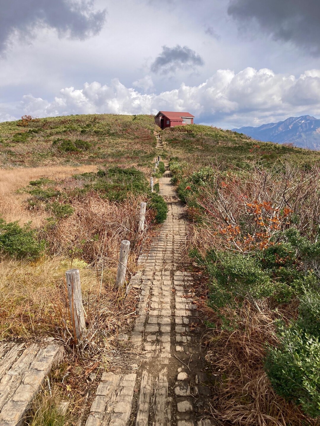 赤兎山 / hachiさんの赤兎山・猪鼻山の活動データ | YAMAP / ヤマップ
