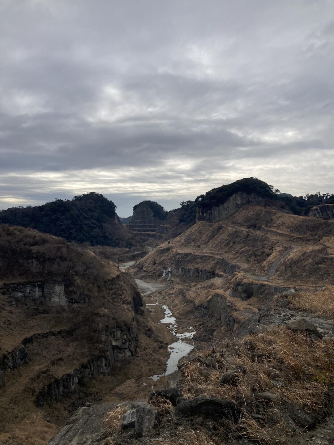 房総のグランドキャニオンに行ってきた / RYUTAさんの鋸山の活動データ | YAMAP / ヤマップ