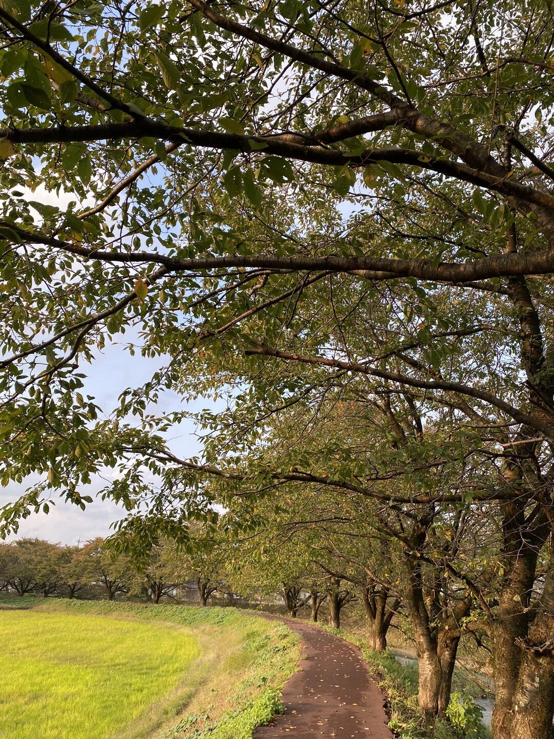 霜降 ️ 10月23日は、二十四... / meshiさんのモーメント | YAMAP / ヤマップ