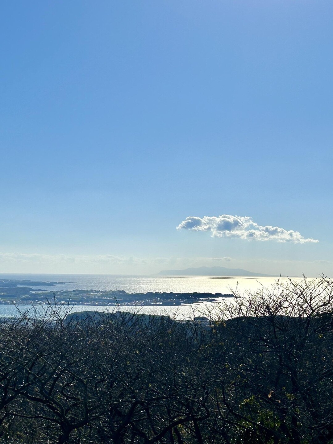 大楠山・衣笠山 / Maaさんの大楠山・武山・三浦富士の活動データ | YAMAP / ヤマップ