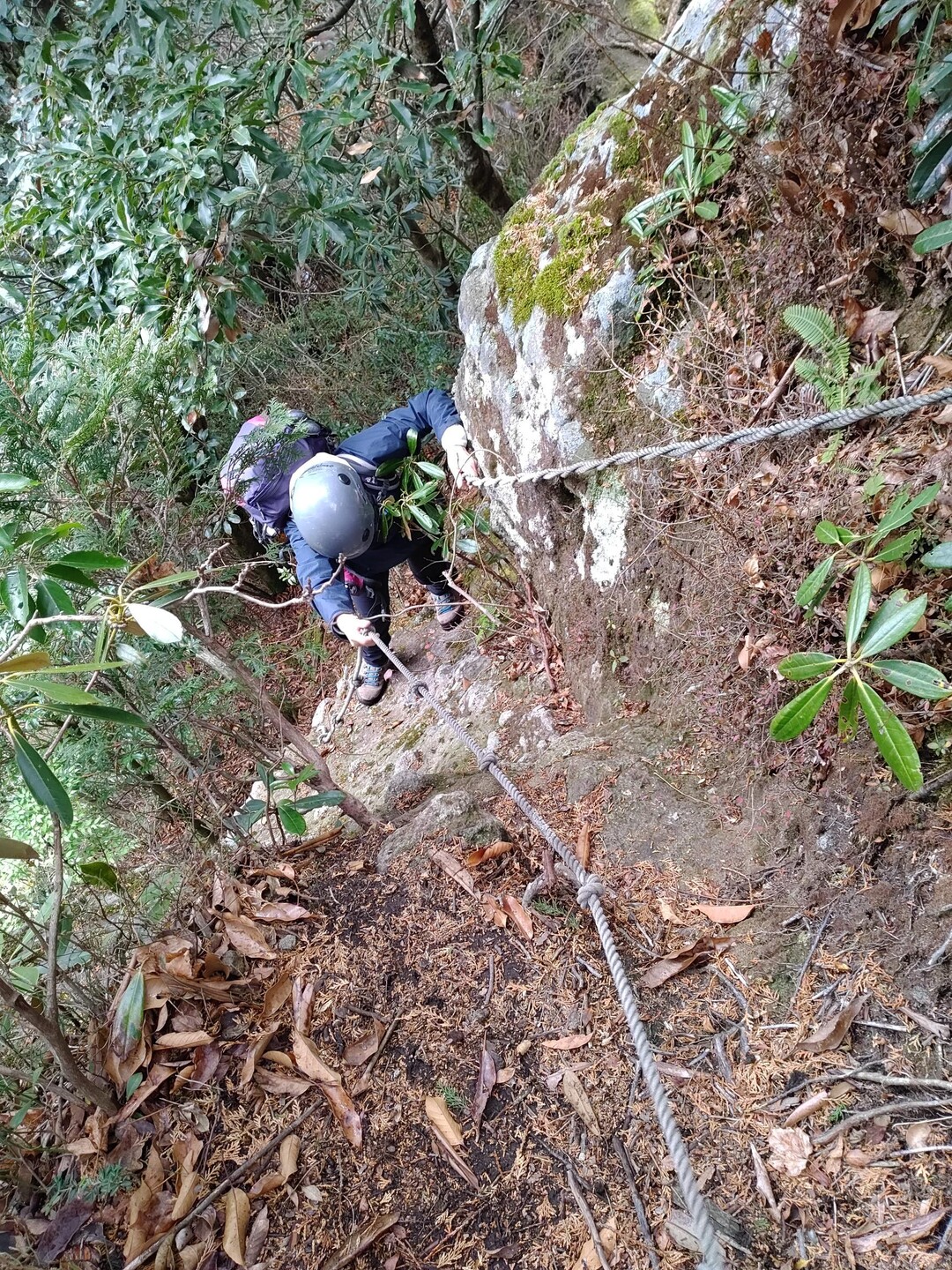 英彦山を眺めながら石楠花の頭・猫の丸尾を進む / kazuakaさんの英彦山の活動日記 | YAMAP / ヤマップ