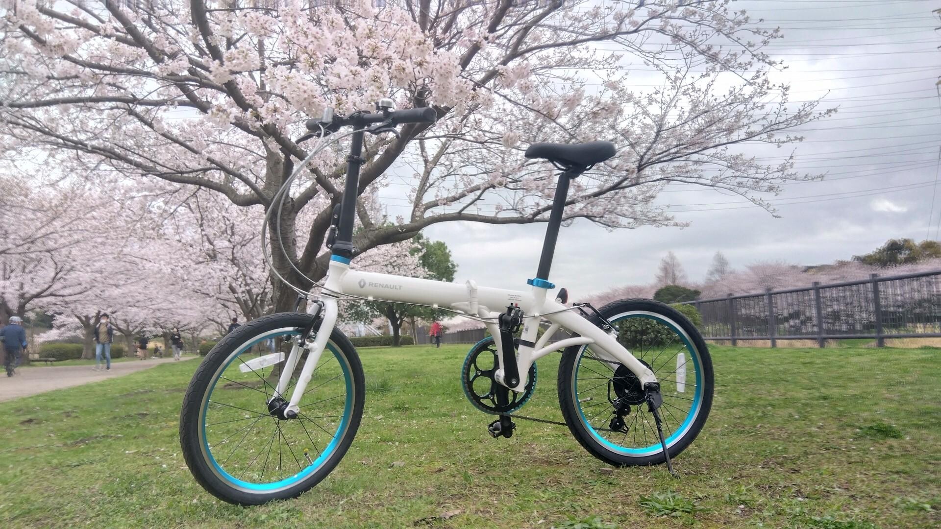 試運転のついでに近所の遊水地へ花見に行き... / Suzuさんのモーメント | YAMAP / ヤマップ