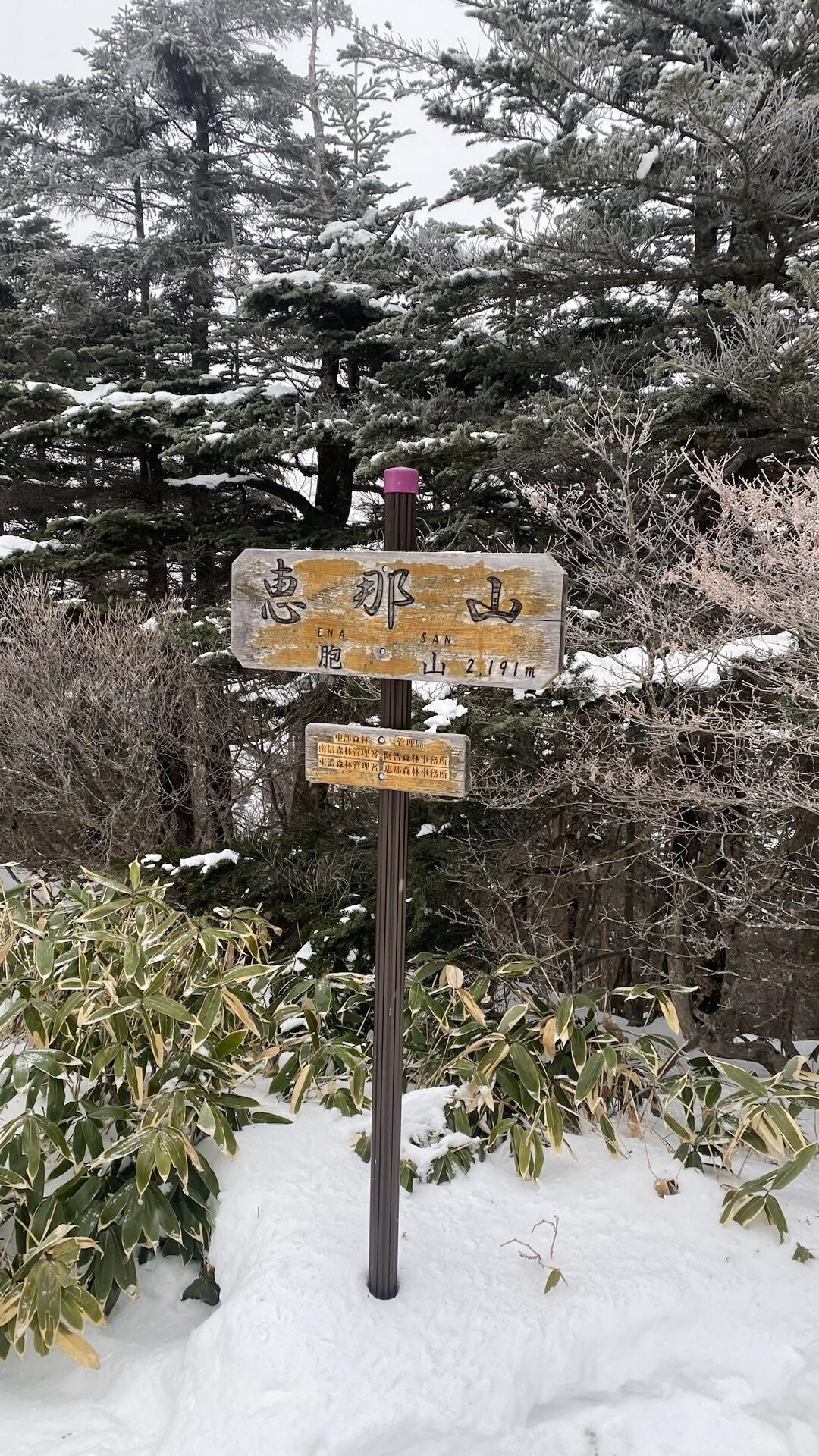 恵那山 / Yama Boyさんの恵那山・大判山・神坂山の活動データ | YAMAP / ヤマップ