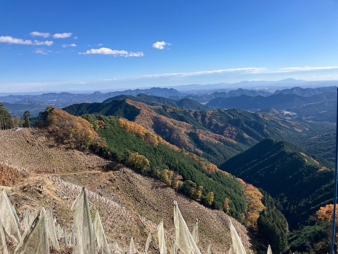 鶏鳴山・笹目倉山 / うめsuさんの鶏鳴山・笹目倉山の活動データ | YAMAP / ヤマップ