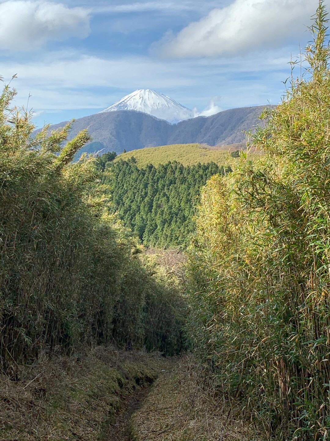 junさんの投稿したフィールドメモ | YAMAP / ヤマップ