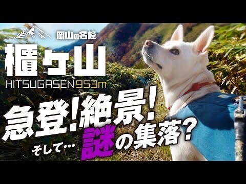 こまりと登る櫃ヶ山 / HIGE（SOU）さんの櫃ヶ山・星山の活動データ | YAMAP / ヤマップ