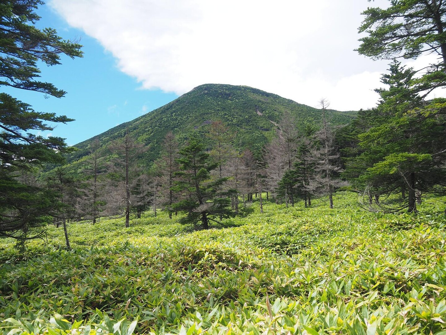 チームAY 再び霧の中の蓼科山・双子山登山 / YYさんの蓼科山・横岳・縞枯山の活動データ | YAMAP / ヤマップ