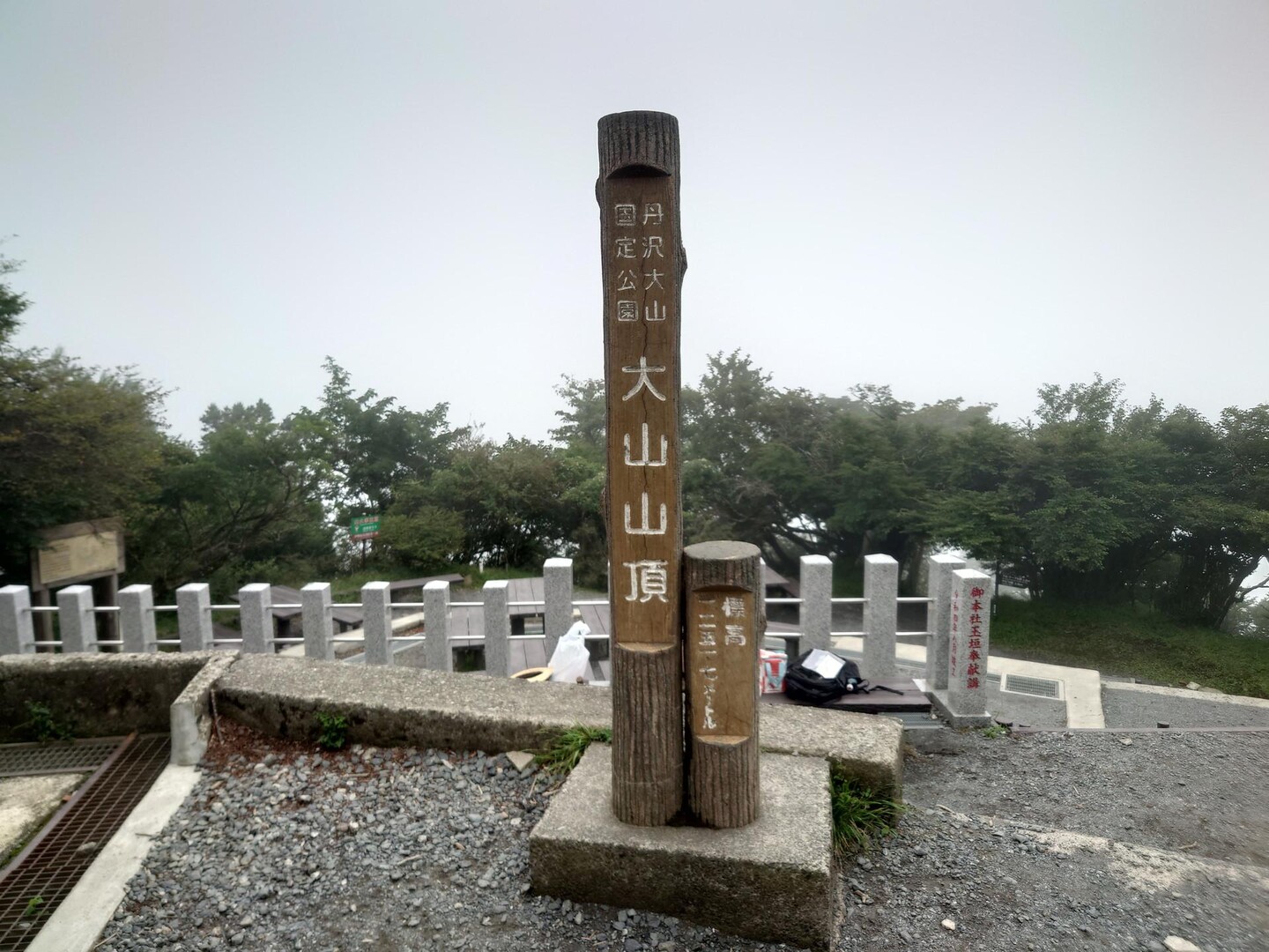 復帰お試し、大山から鶴巻温泉 / StrayCatさんの大山の活動データ | YAMAP / ヤマップ