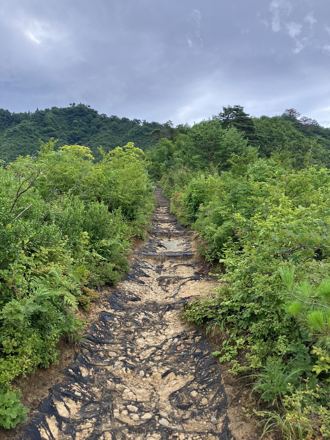 坂戸山 / KJさんの坂戸山の活動日記 | YAMAP / ヤマップ