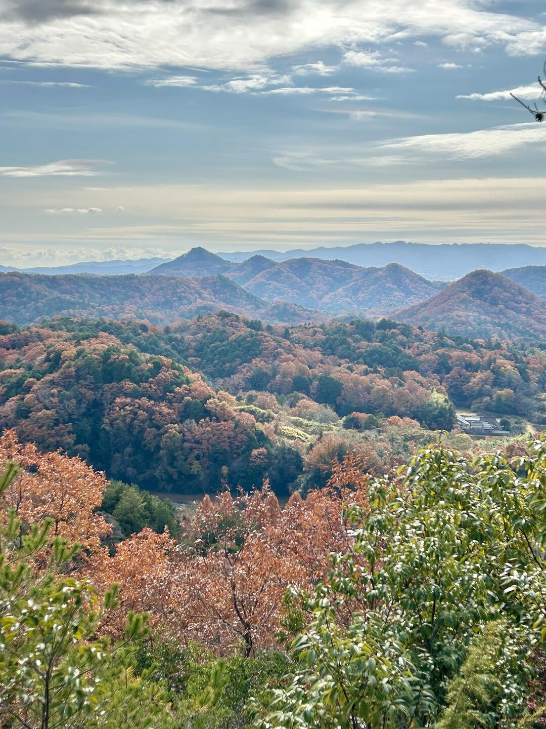 三田市の観光スポット千丈寺湖と山 / ムーさんさんの千丈寺山・てんぐの森の活動日記 | YAMAP / ヤマップ