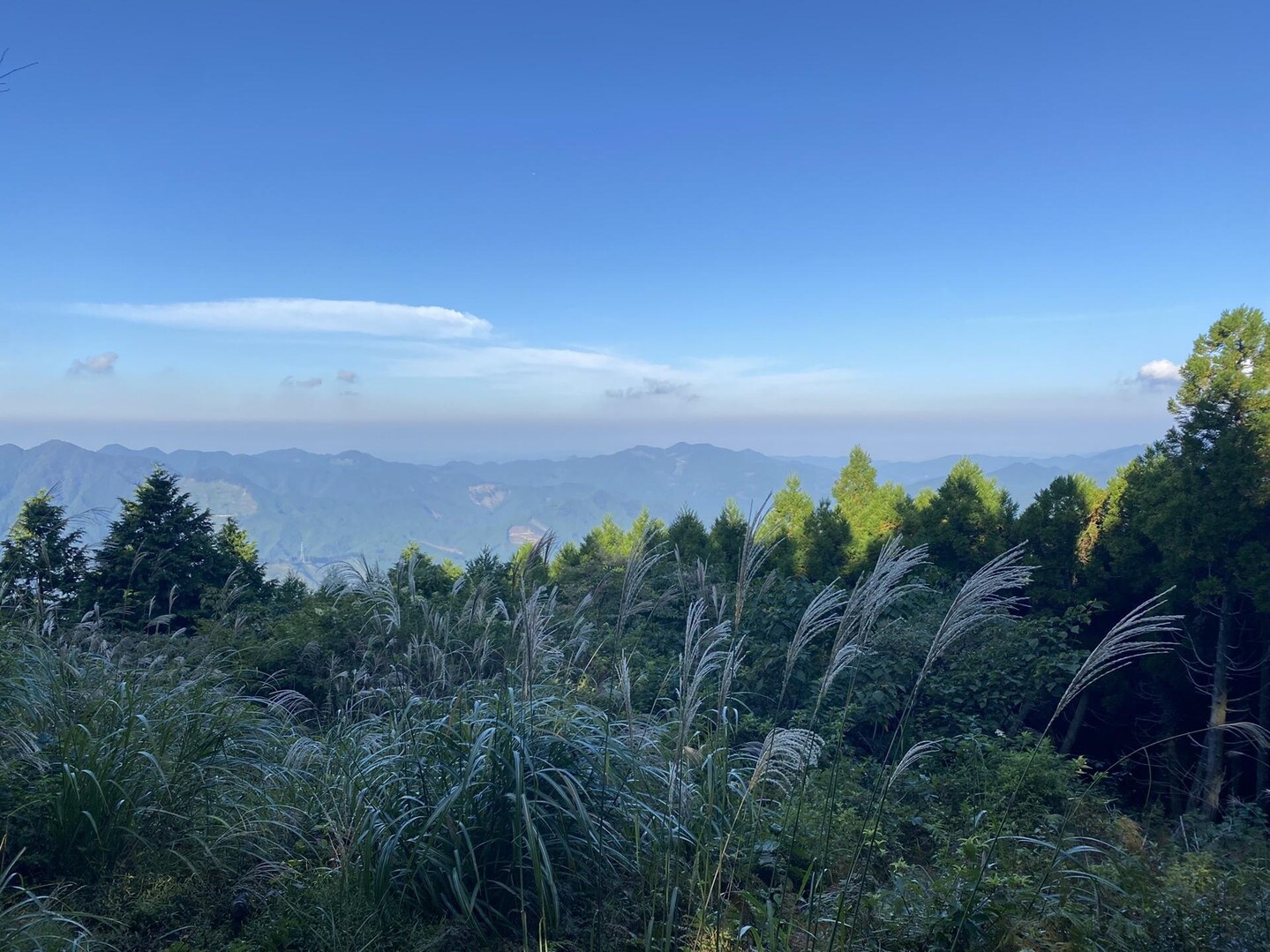 猿駈山 / HIRO-Gさんの猿駈山の活動データ | YAMAP / ヤマップ