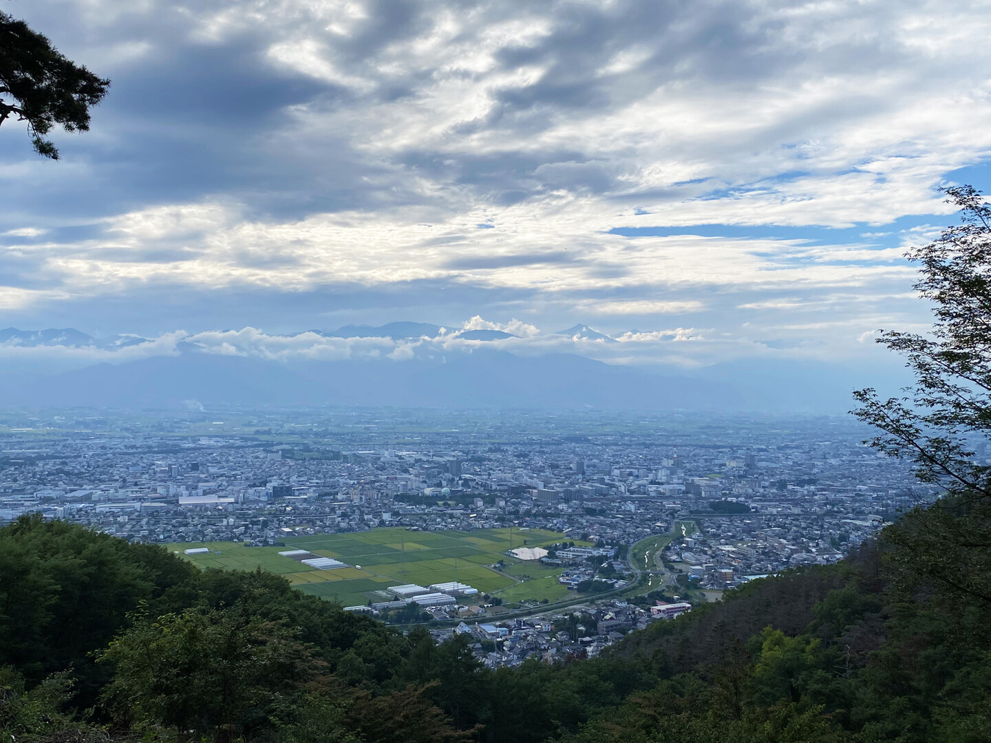 今日の裏山ランニング⛰🏃‍♂️ 秋に... / COOBA / こーばさんのモーメント | YAMAP / ヤマップ