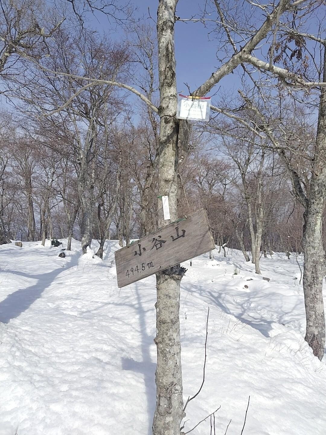 小谷山 / Kinuさんの小谷山・虎御前山の活動データ | YAMAP / ヤマップ