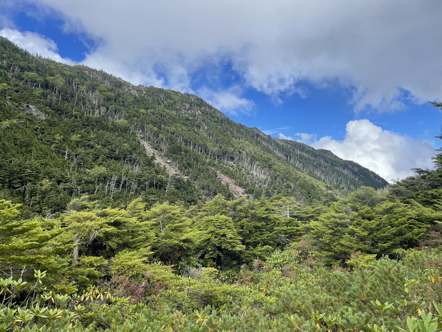 北横岳（南峰）・北横岳（北峰） / KAY-Zさんの蓼科山・横岳・縞枯山の活動データ | YAMAP / ヤマップ