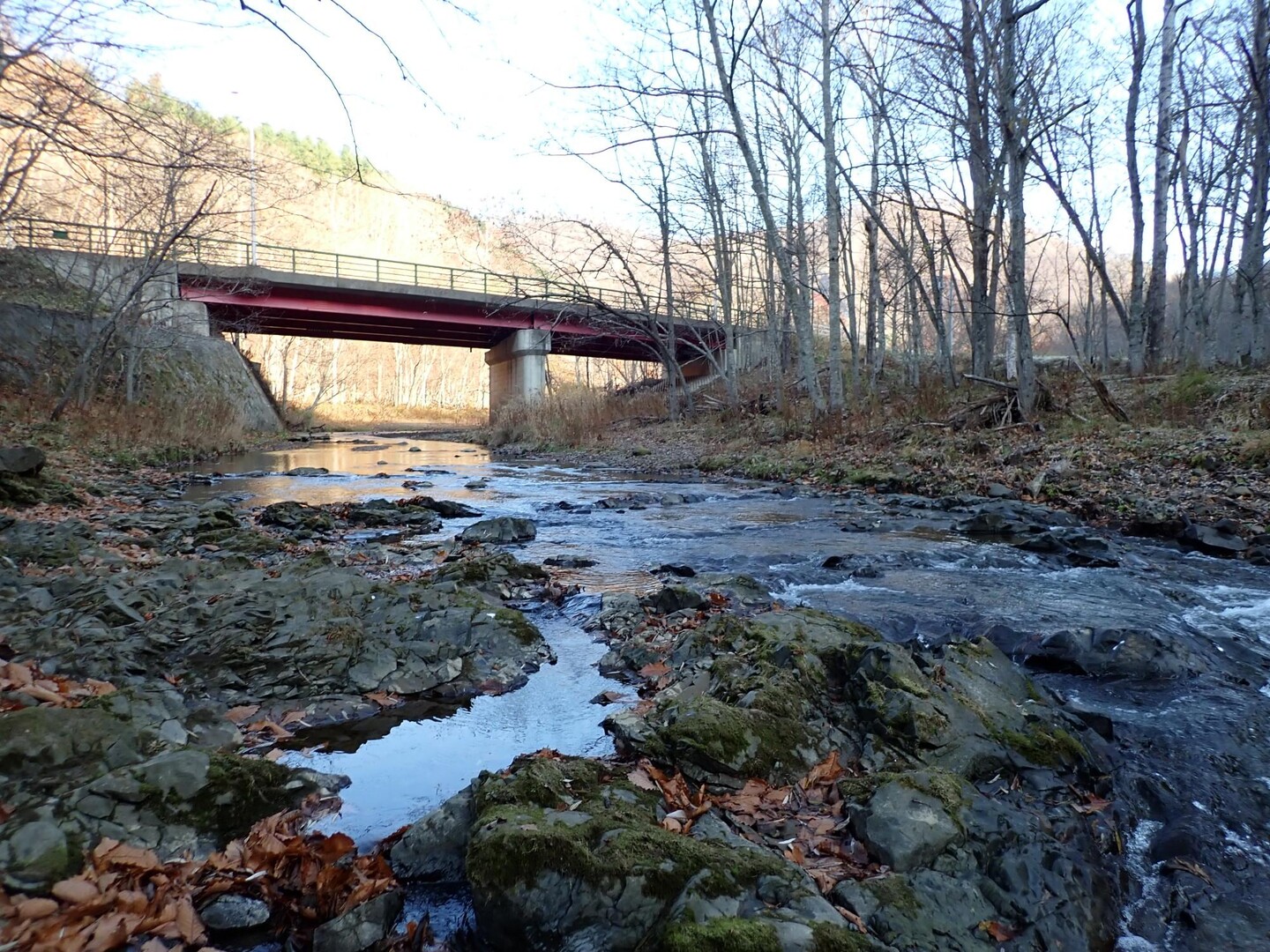 留真山 / moneさんのウコタキヌプリの活動日記 | YAMAP / ヤマップ