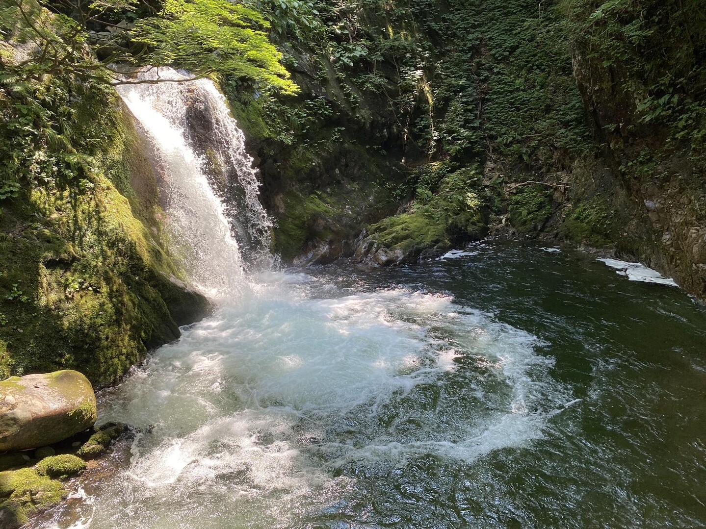 2023.07.25(火) 10:53 / つかさんのモーメント | YAMAP / ヤマップ