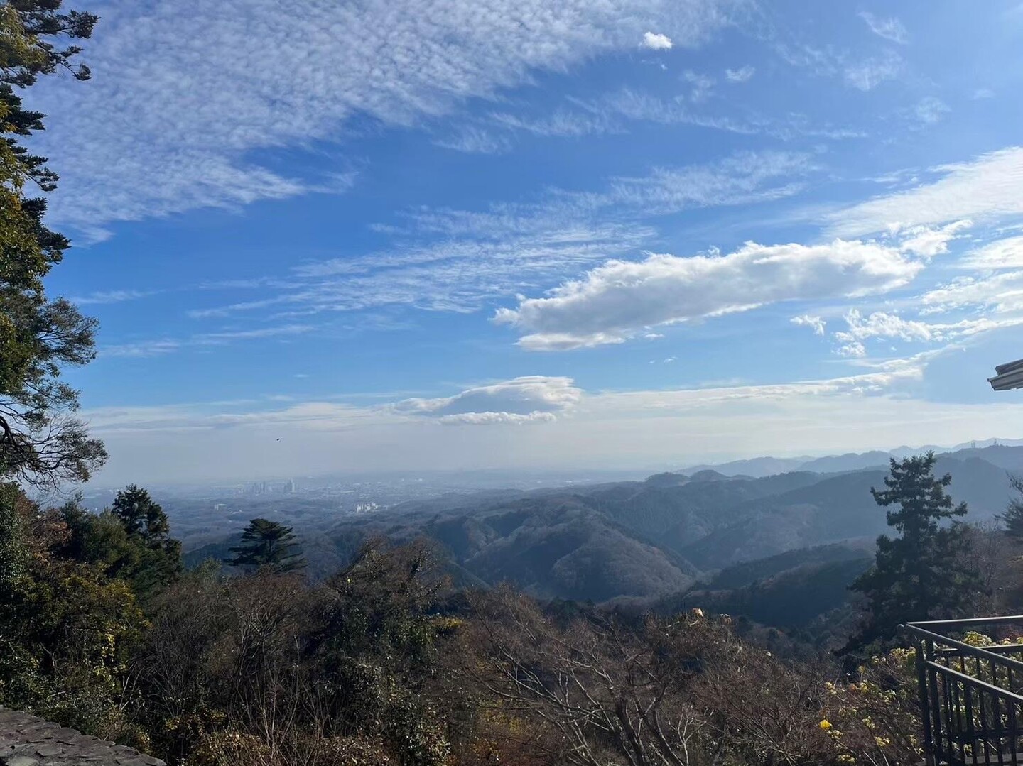 高尾山・神変山 / R.Hasさんの高尾山・陣馬山・景信山の活動データ | YAMAP / ヤマップ