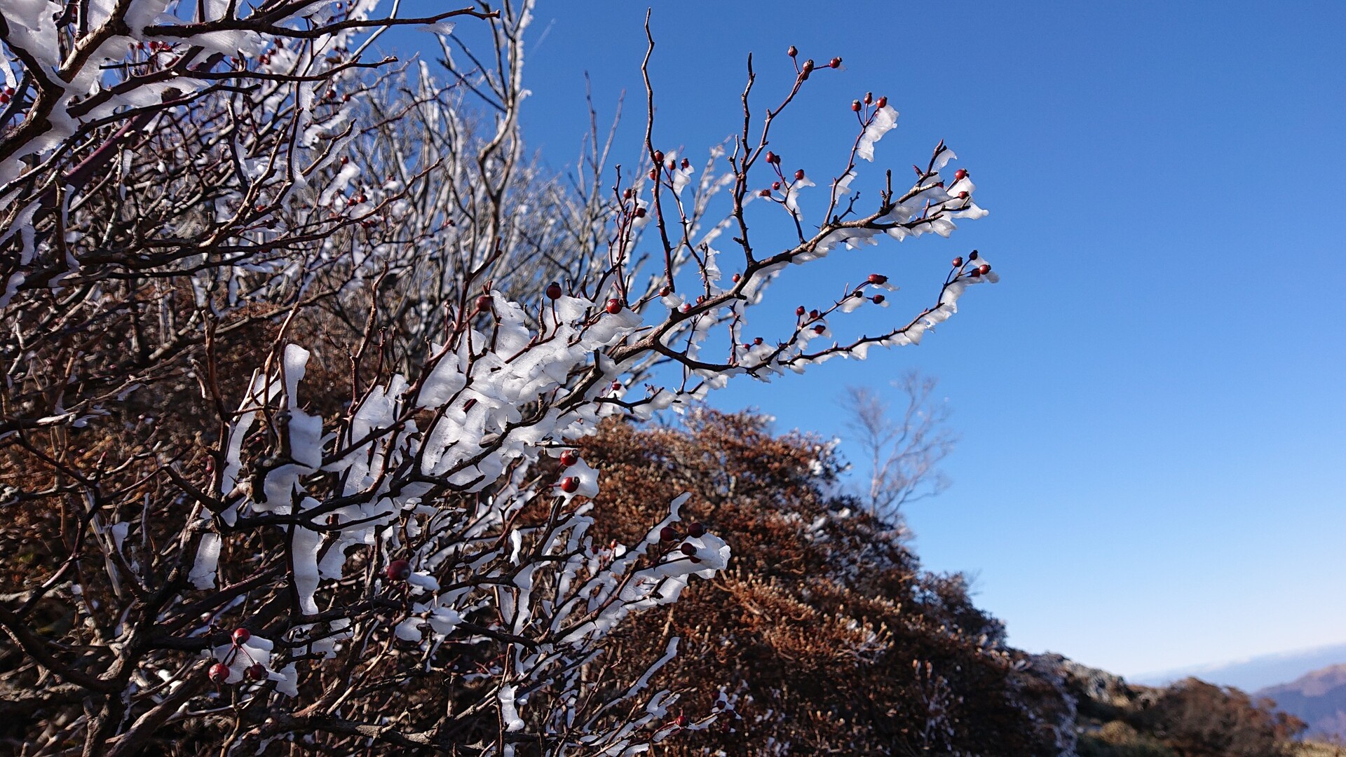 三嶺・天狗塚・石立山-2019-12-15 / shuuu54さんの三嶺・天狗塚・石立山の活動データ | YAMAP / ヤマップ