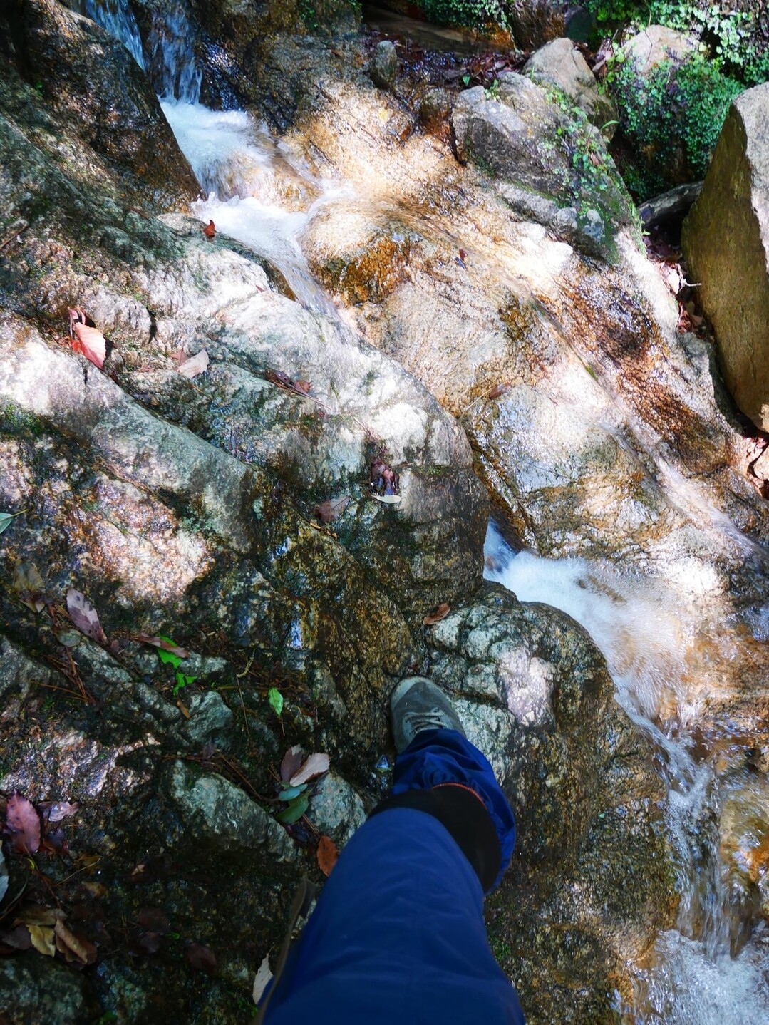 隊長😂😂😂のハイキング4コマ漫画 ... / 隊長😂😂😂さんのモーメント | YAMAP / ヤマップ