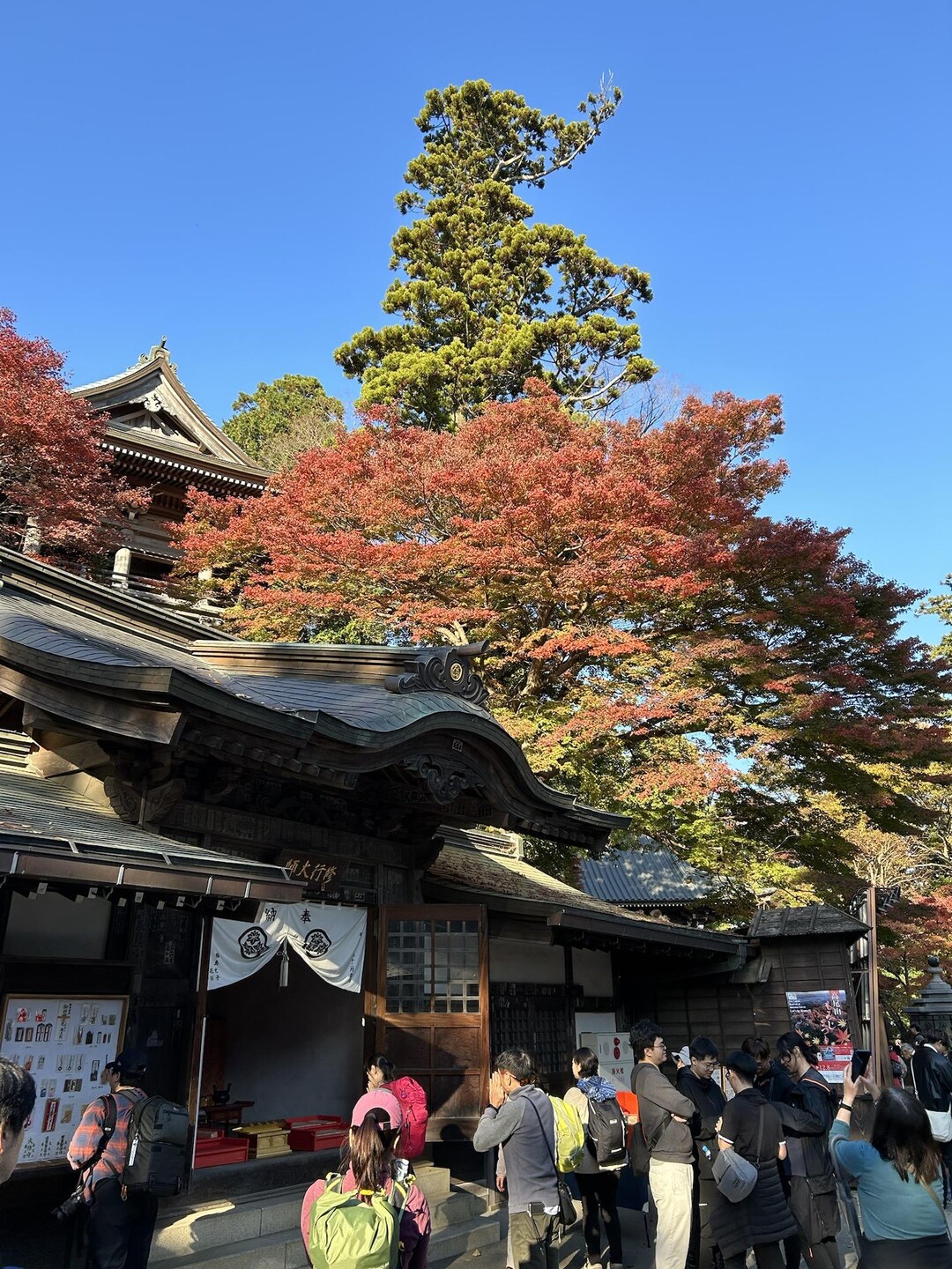 高尾山 / Jinさんの高尾山・陣馬山・景信山の活動データ | YAMAP / ヤマップ