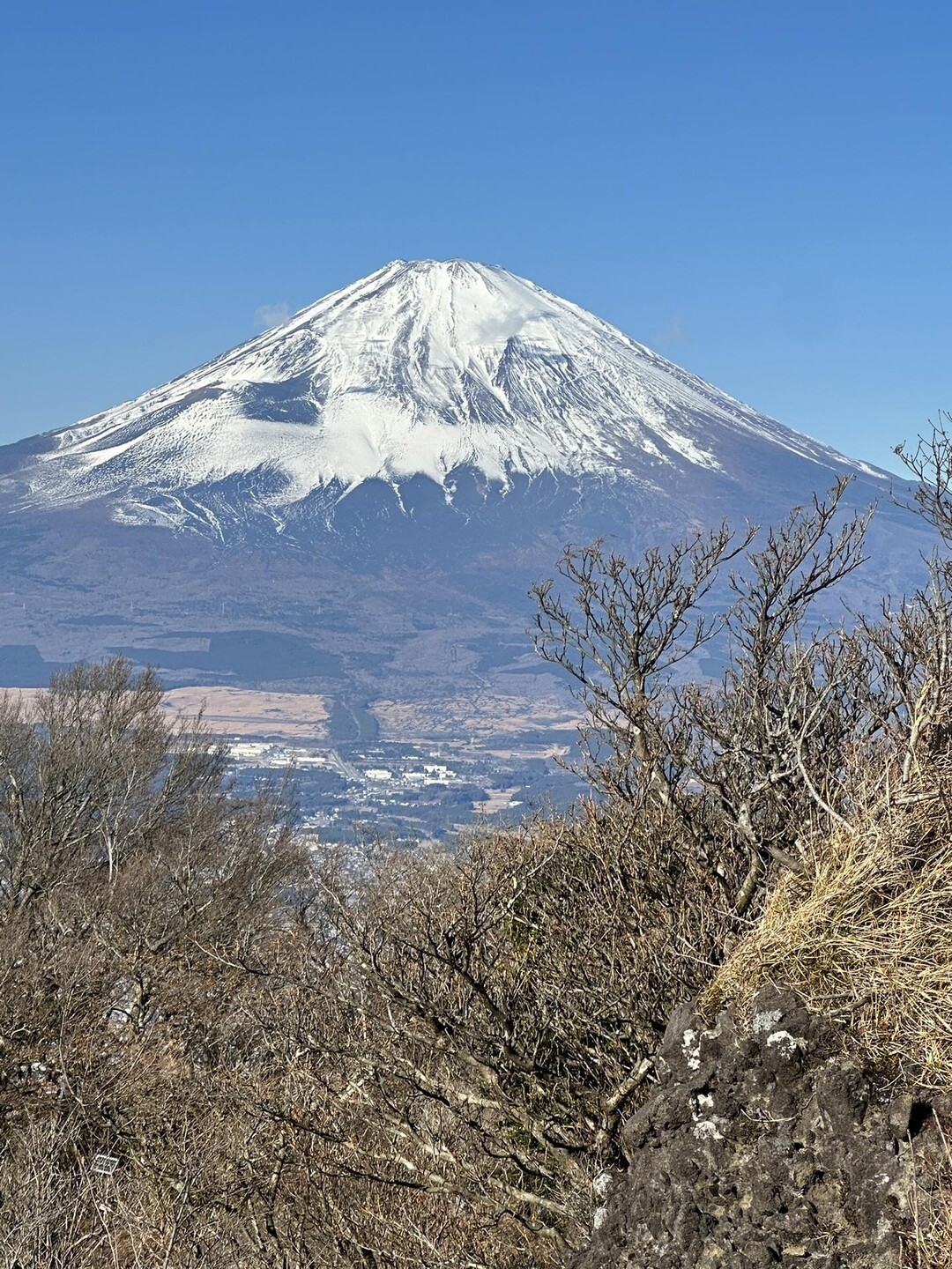金時山・長尾山 / shihoさんの金時山・明神ヶ岳の活動データ | YAMAP / ヤマップ