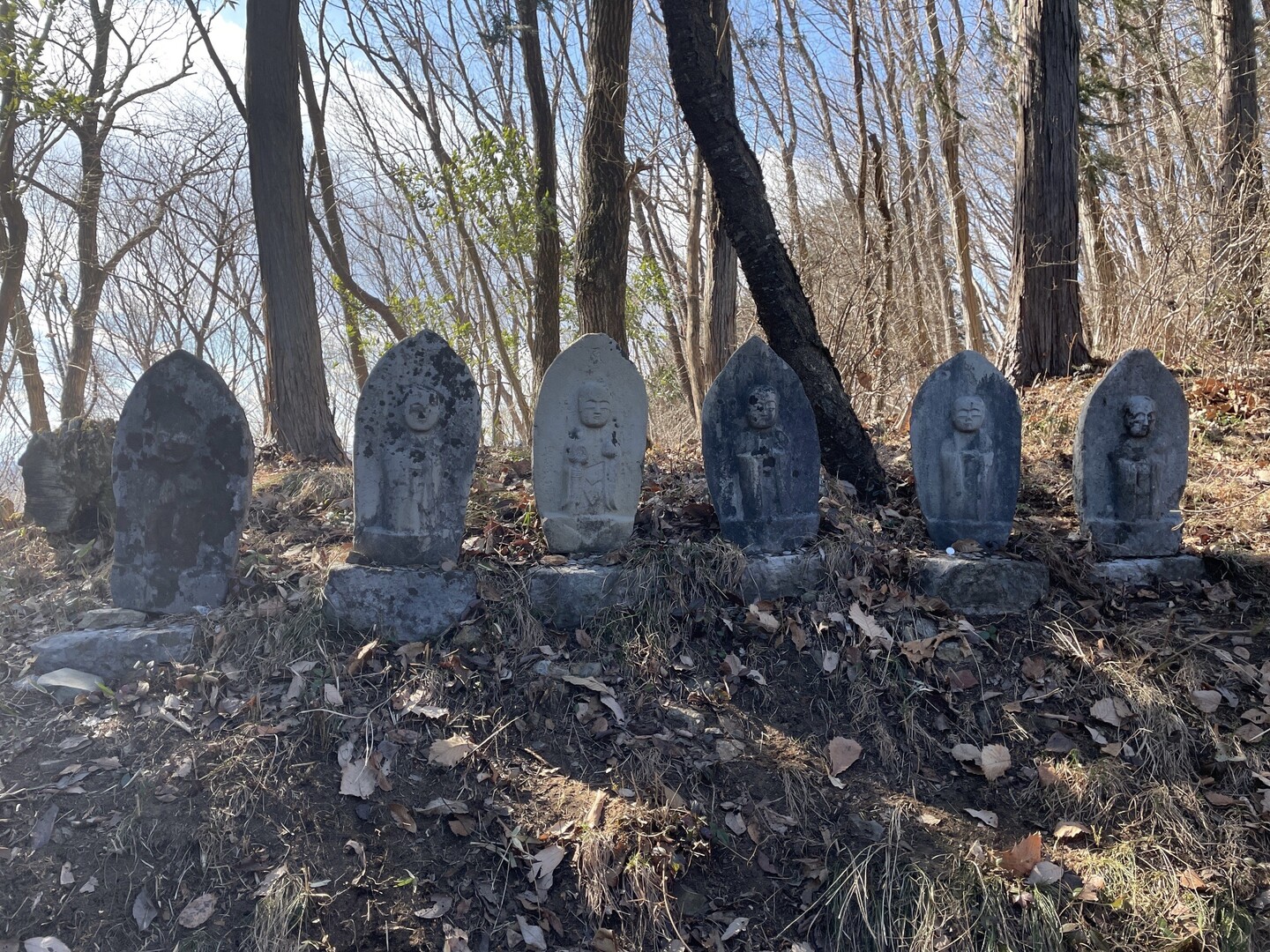 金原山・ヤシオ山、林山・天ヶ岳 / ota660さんの三床山・金原山の活動データ | YAMAP / ヤマップ