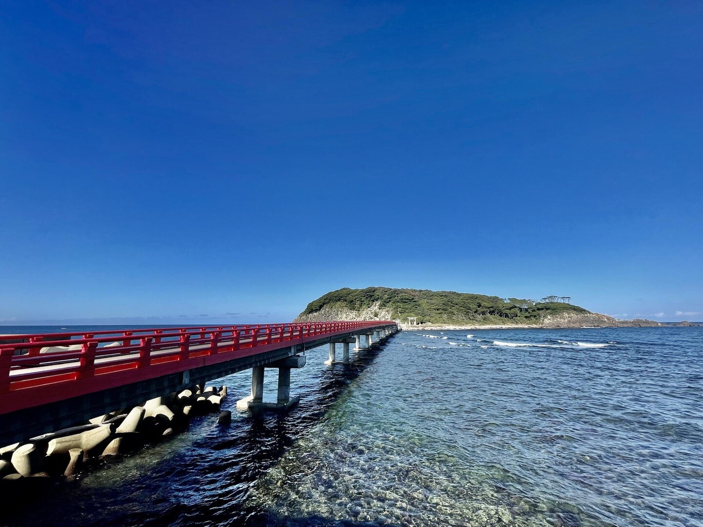 4連休は家族(に)サービスを(してもらいま)した♪ / Y45Uさんの坂井市の活動データ | YAMAP / ヤマップ