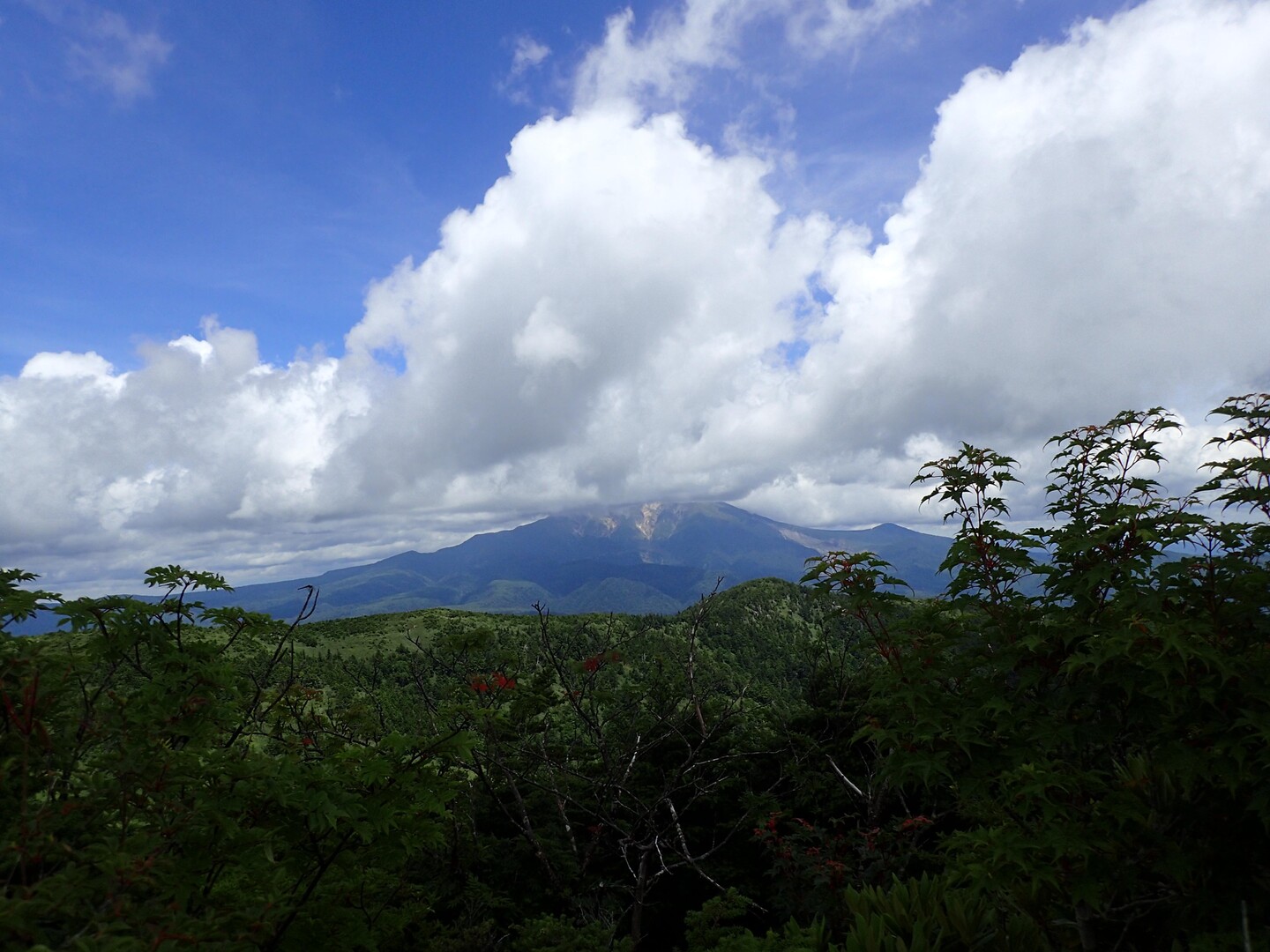 小秀山 / YYさんの小秀山の活動データ | YAMAP / ヤマップ