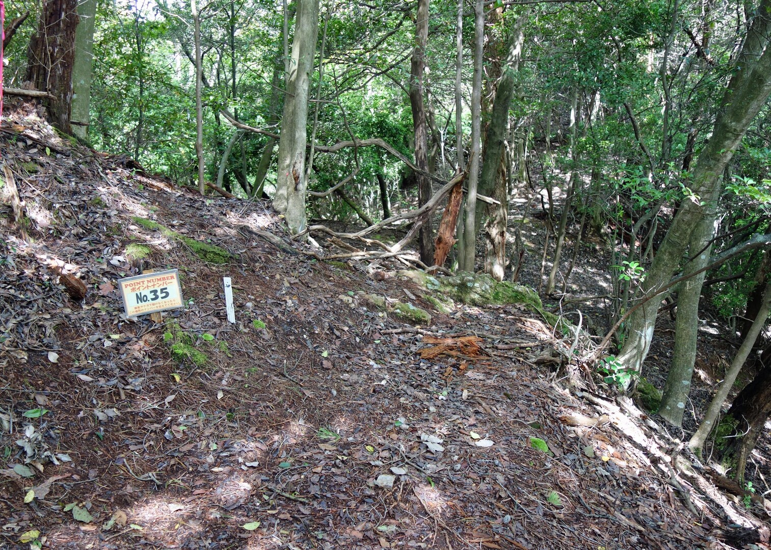 wtaxus わたくさすさんの投稿したフィールドメモ | YAMAP / ヤマップ