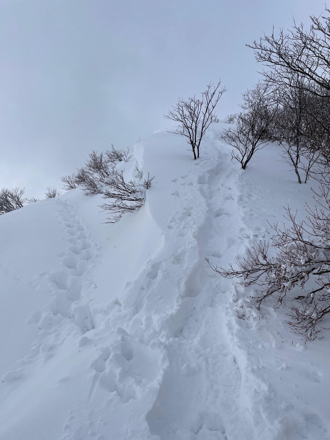 小貝月山（何回行くねん！） / golfbakaさんの貝月山の活動日記 | YAMAP / ヤマップ