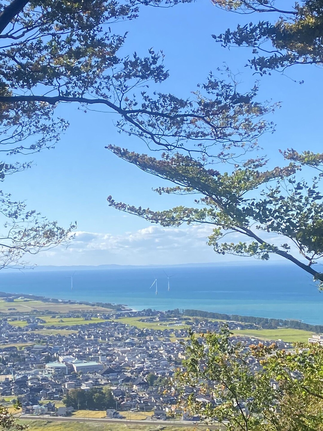 馬鬣山・奥馬鬣山（千蔵山）2023/10/22 / ひろ0712さんの黒菱山・初雪山・負釣山の活動データ | YAMAP / ヤマップ