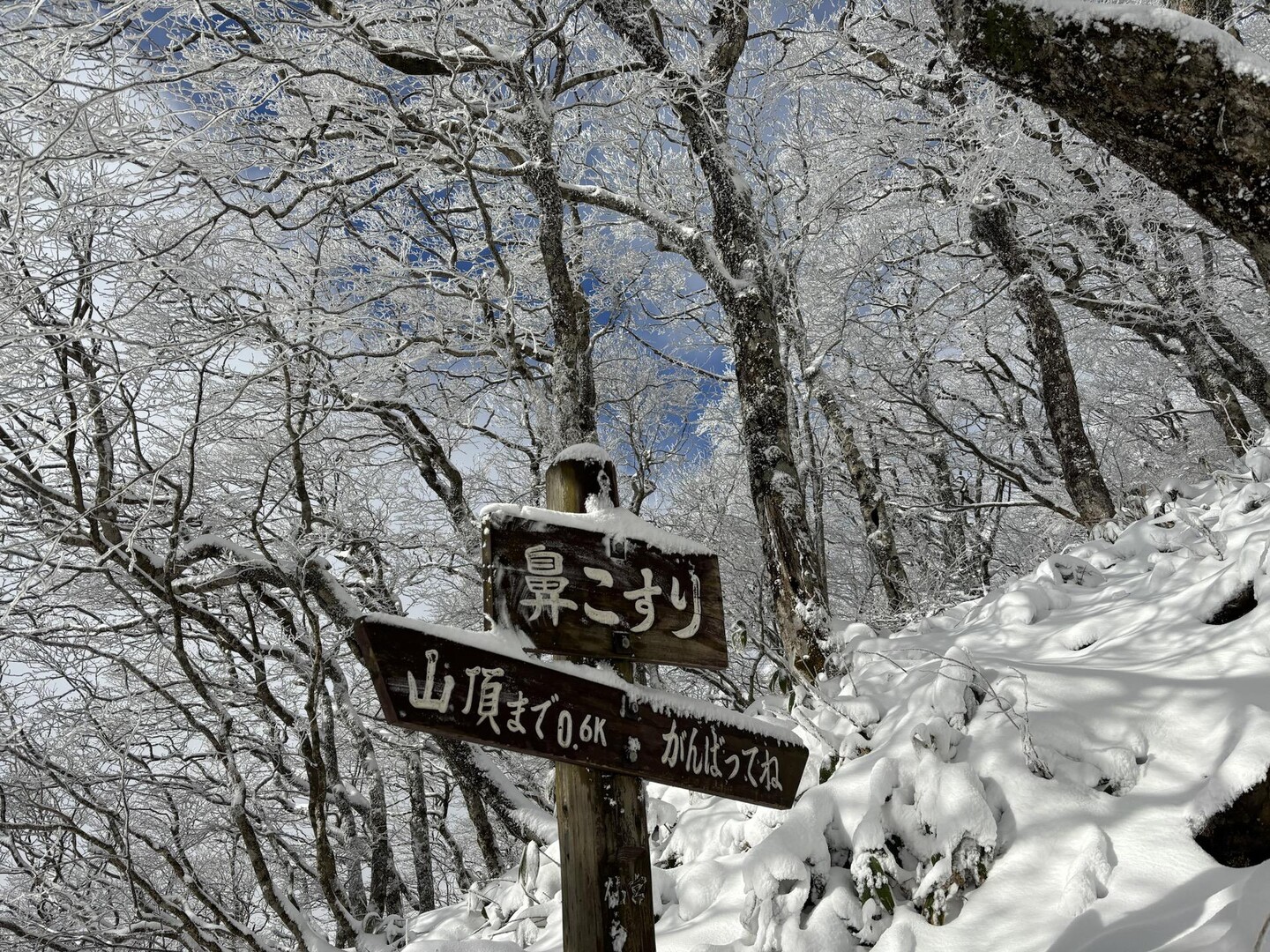 大東岳・三方倉山 / mt.hiroさんの面白山・神室岳・大東岳・雨呼山の活動データ | YAMAP / ヤマップ