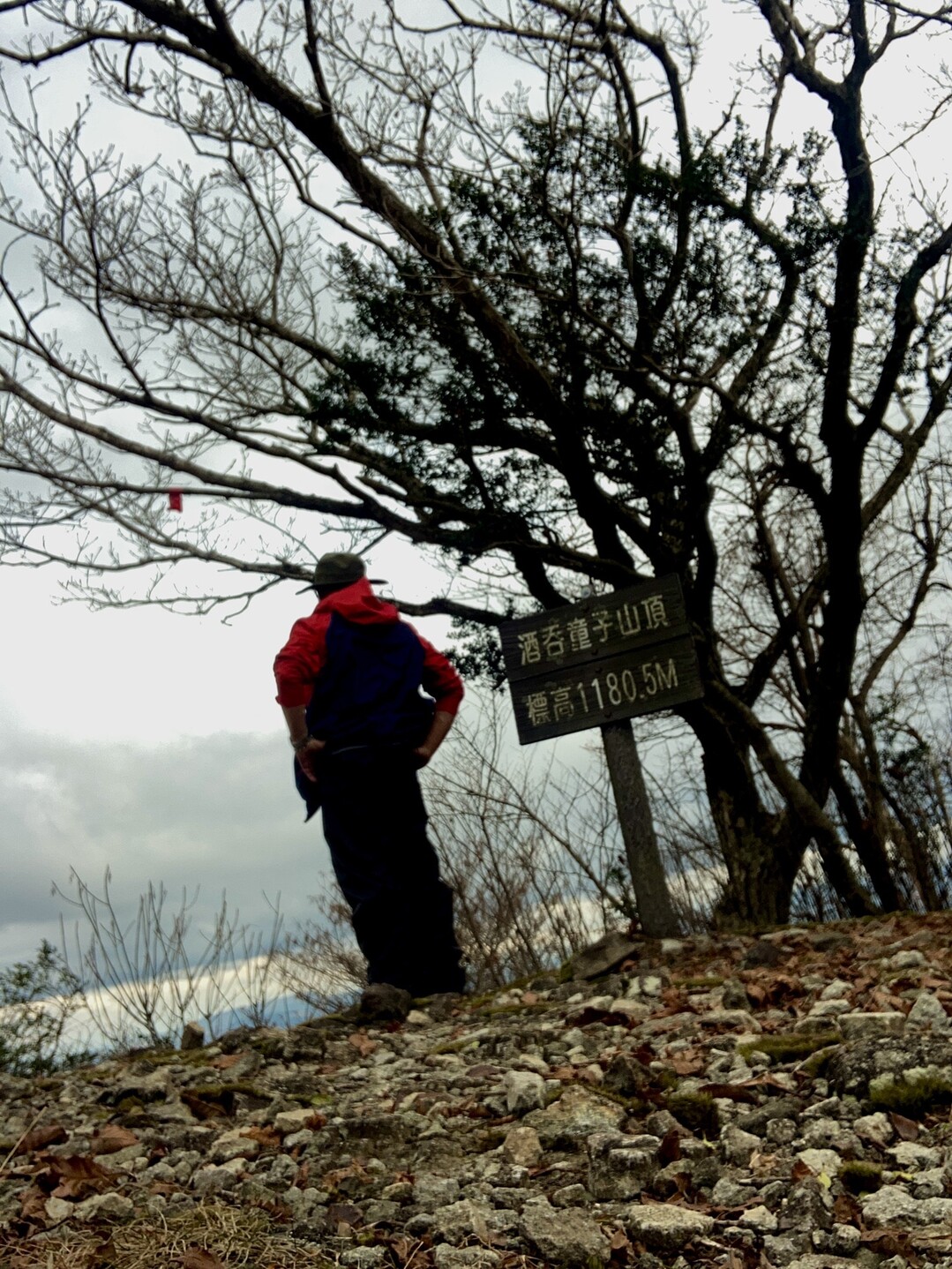 酒呑童子山・小鈴山・ハナグロ山 / toraさんの酒呑童子山・小鈴山・ハナグロ山の活動データ | YAMAP / ヤマップ