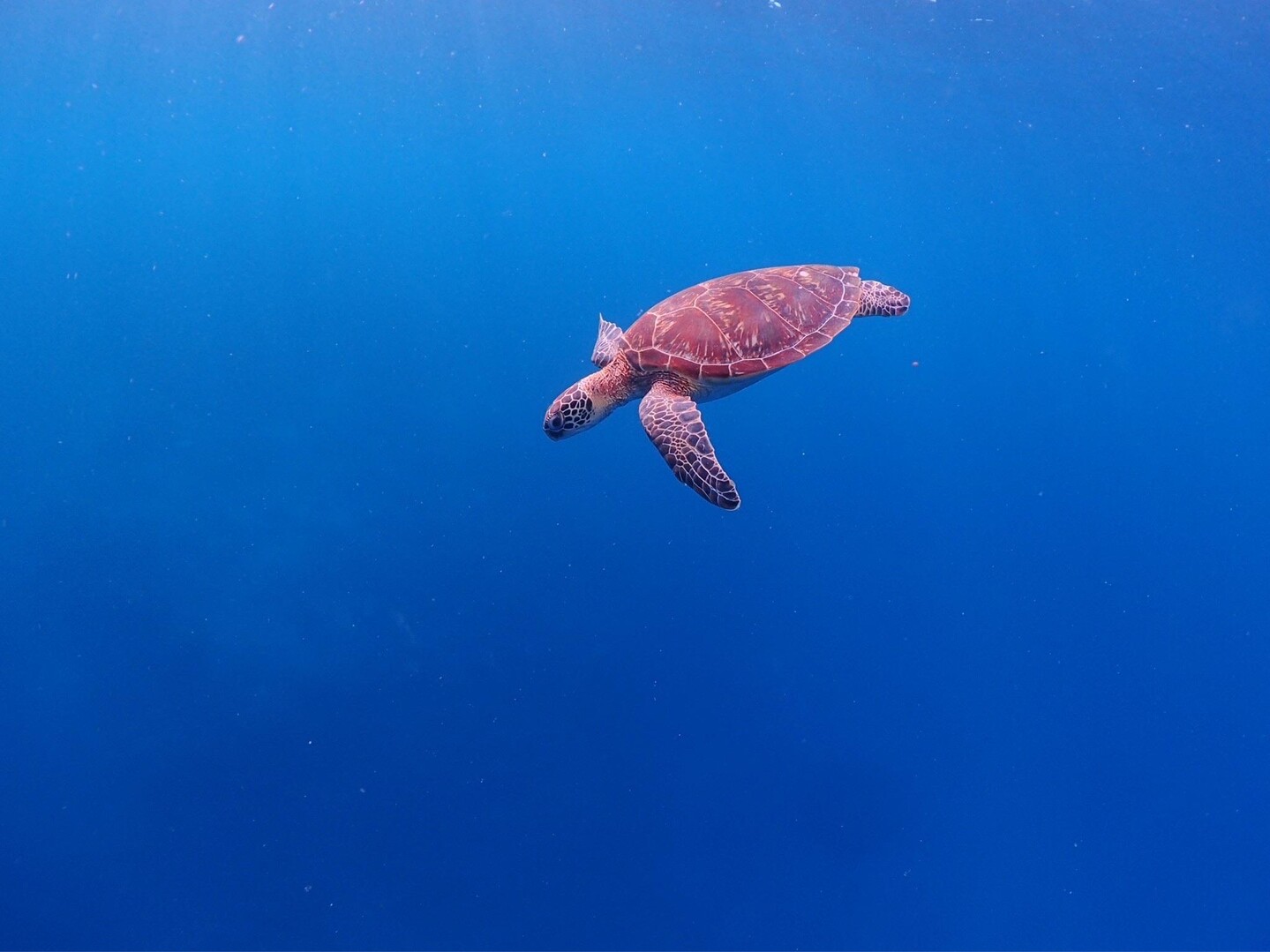 2022.9月 ここから宮古島ハマり出... / Mai.さんのモーメント | YAMAP / ヤマップ