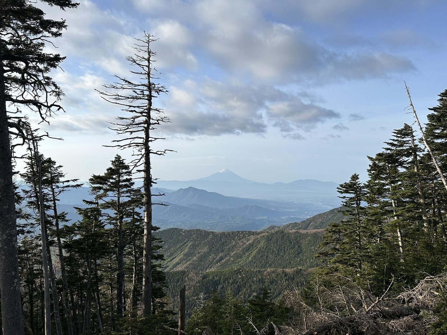 杣添尾根からの富士山 / Tosiさんのモーメント | YAMAP / ヤマップ