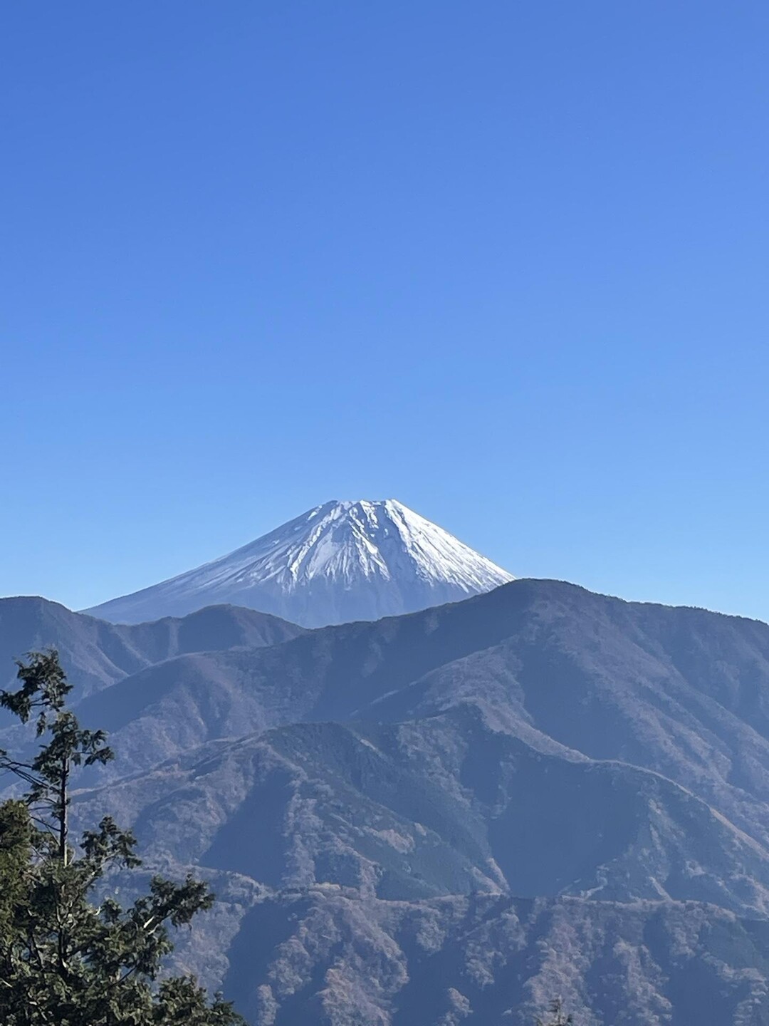 身延山・七面山 修行走 ロング DNF / NNNRさんの七面山・身延山の活動データ | YAMAP / ヤマップ