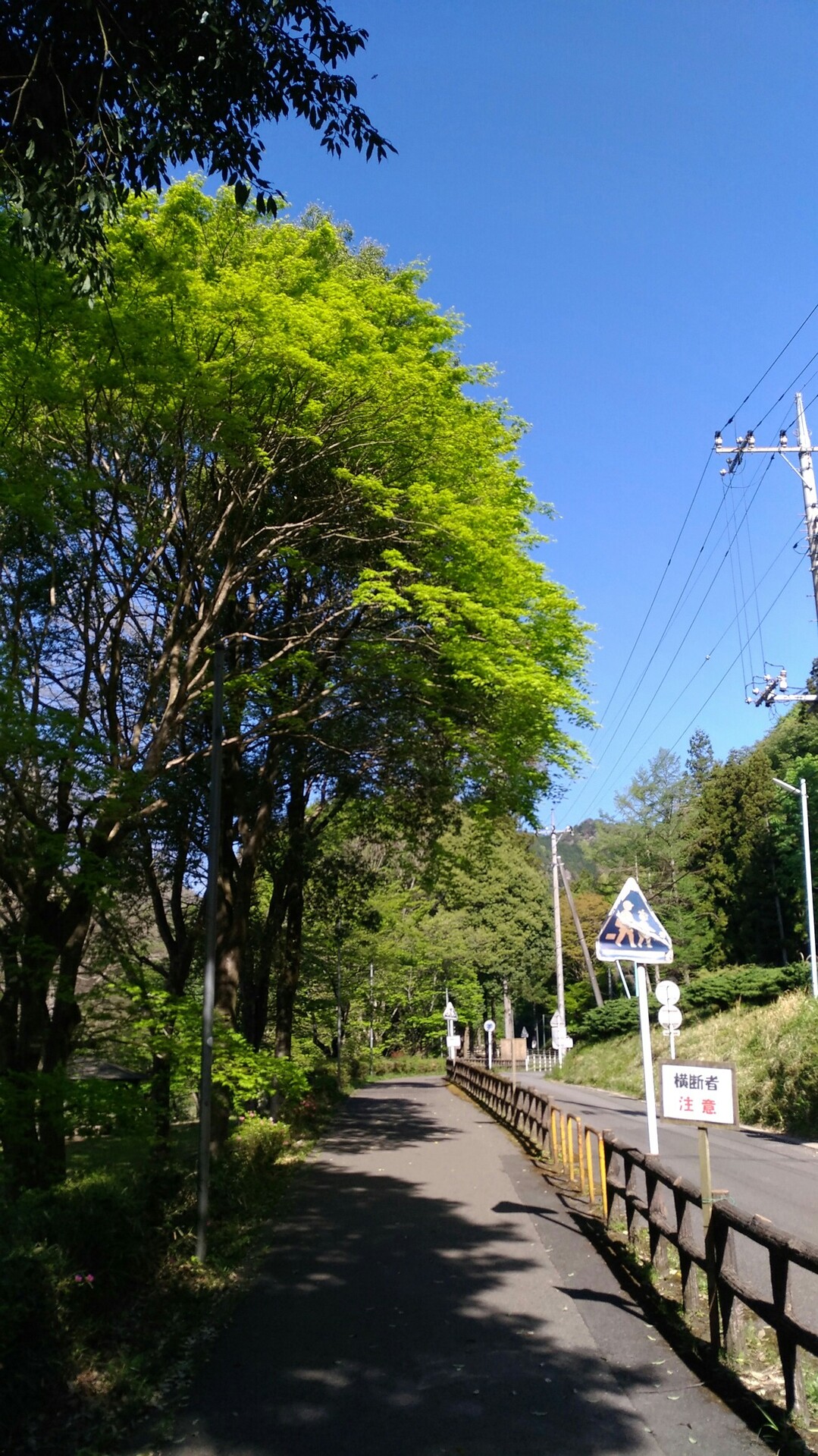 古賀志山・斑根石山・540P / ゴリットさんさんの古賀志山・赤岩山・鞍掛山・男抱山・半蔵山の活動データ | YAMAP / ヤマップ