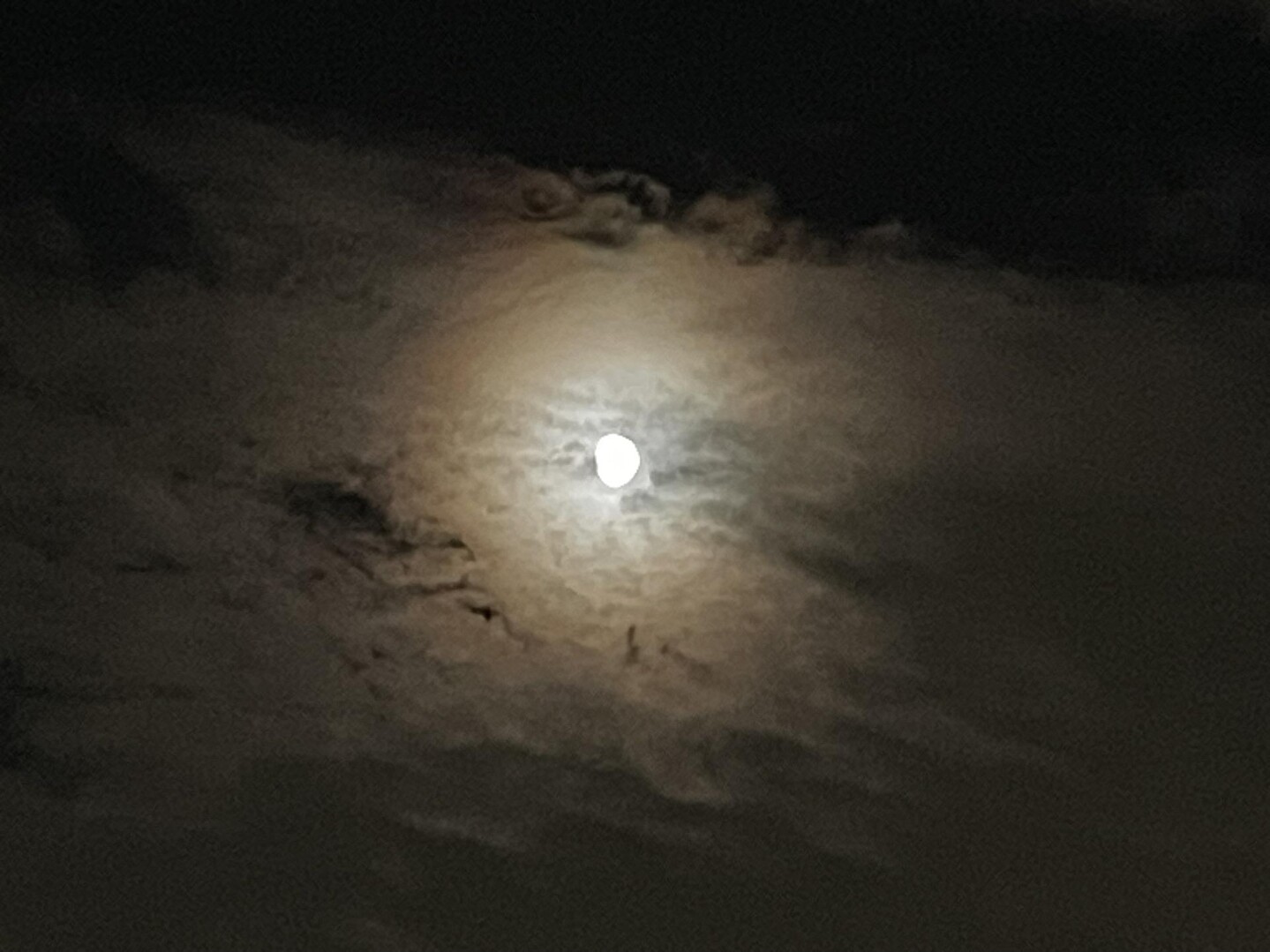 名古屋市南部より 月暈（げつうん）が発生... / 炒飯さんのモーメント | YAMAP / ヤマップ